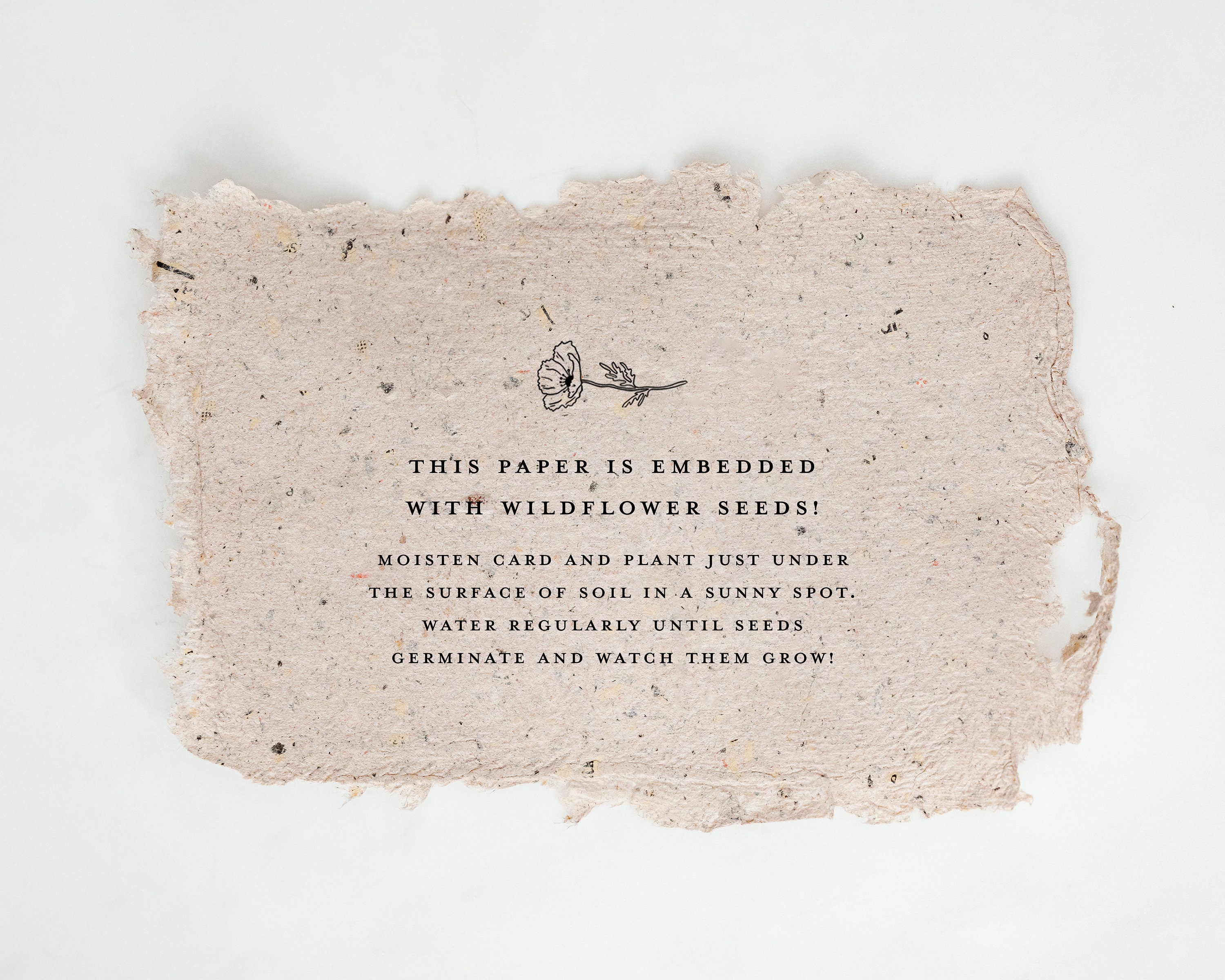 Wildflower Seed Stamp, Wildflower Paper Stamp, This Paper is Embedded ...