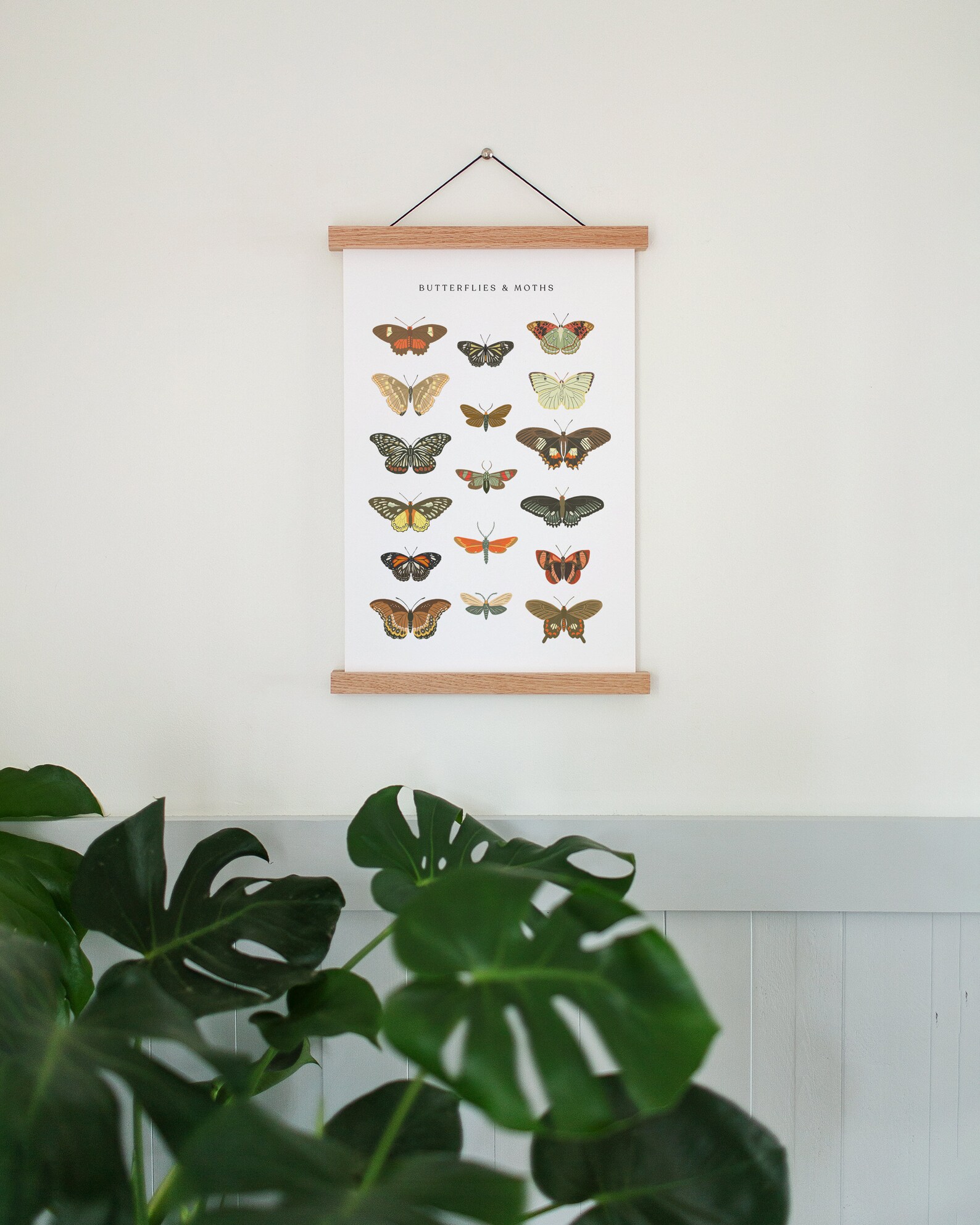 Butterfly Poster Colorful Butterflies Art Butterfly Science - Etsy