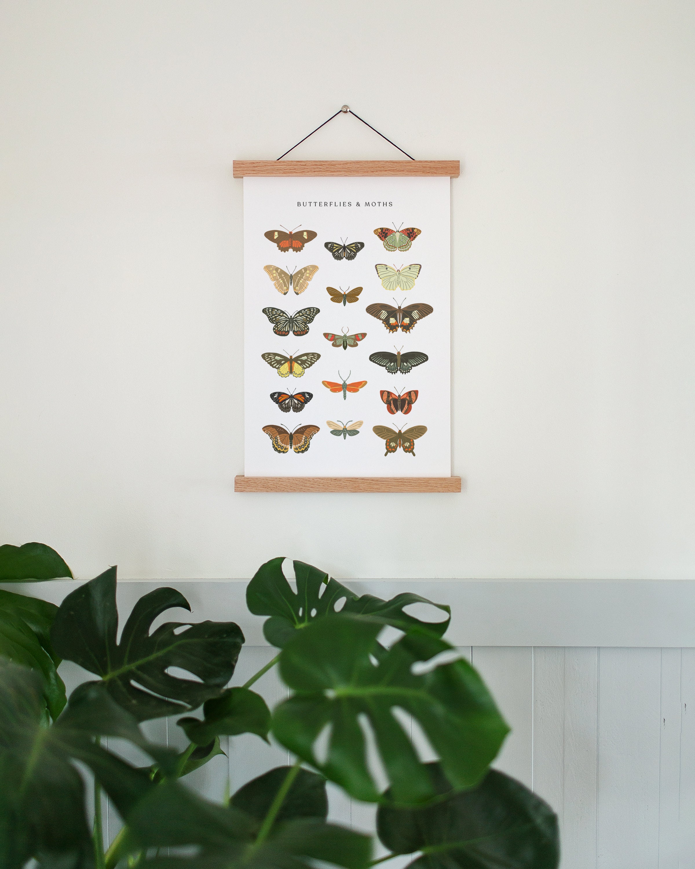 Butterfly Poster Colorful Butterflies Art Butterfly Science - Etsy