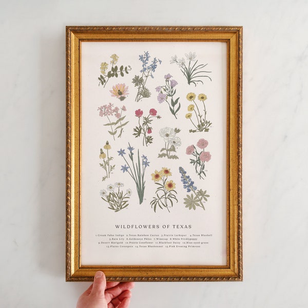 Texas Wildflower Print - Etsy