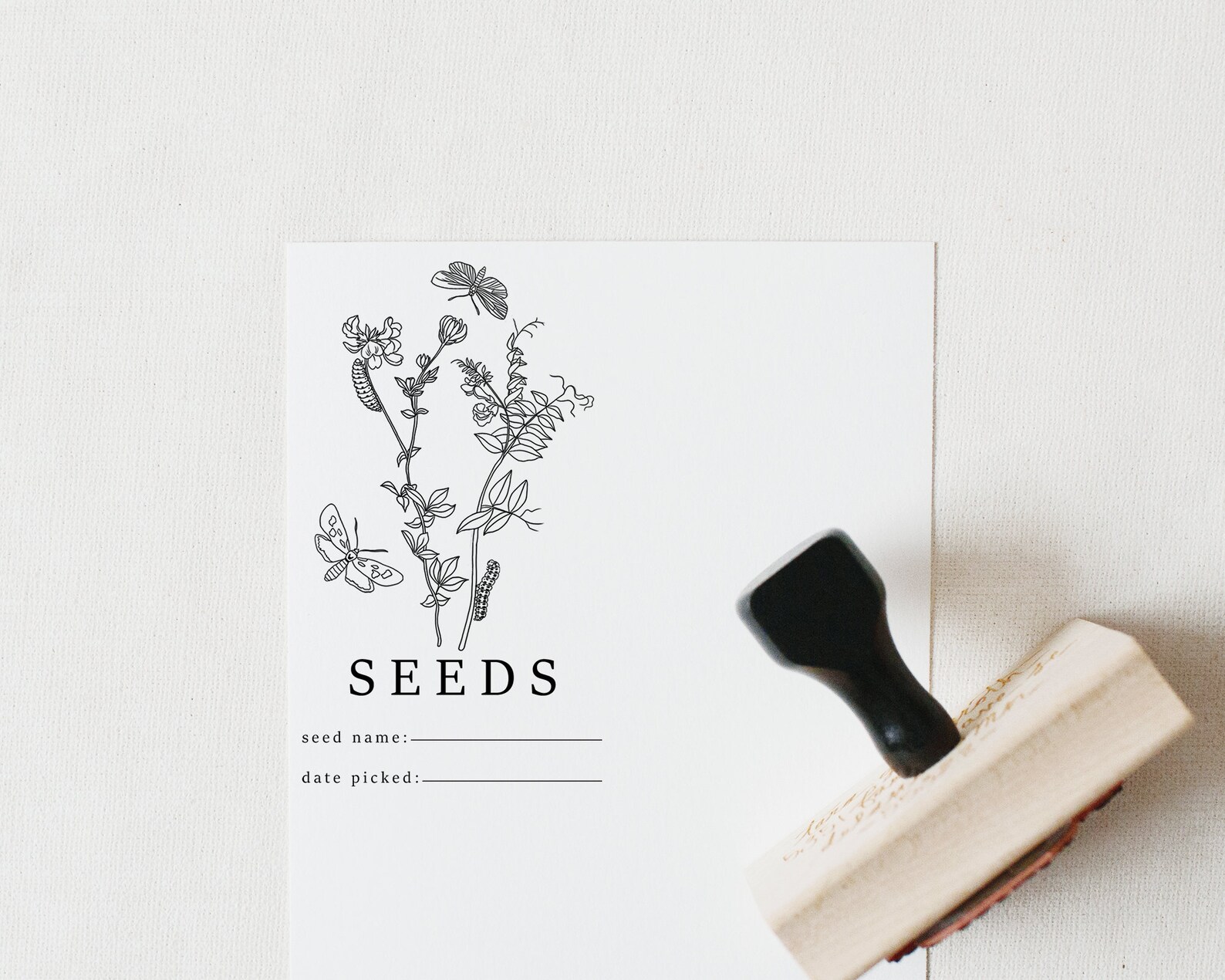 Seed Packet Stamp Seed Labeling Stamp Fill in the Blank | Etsy