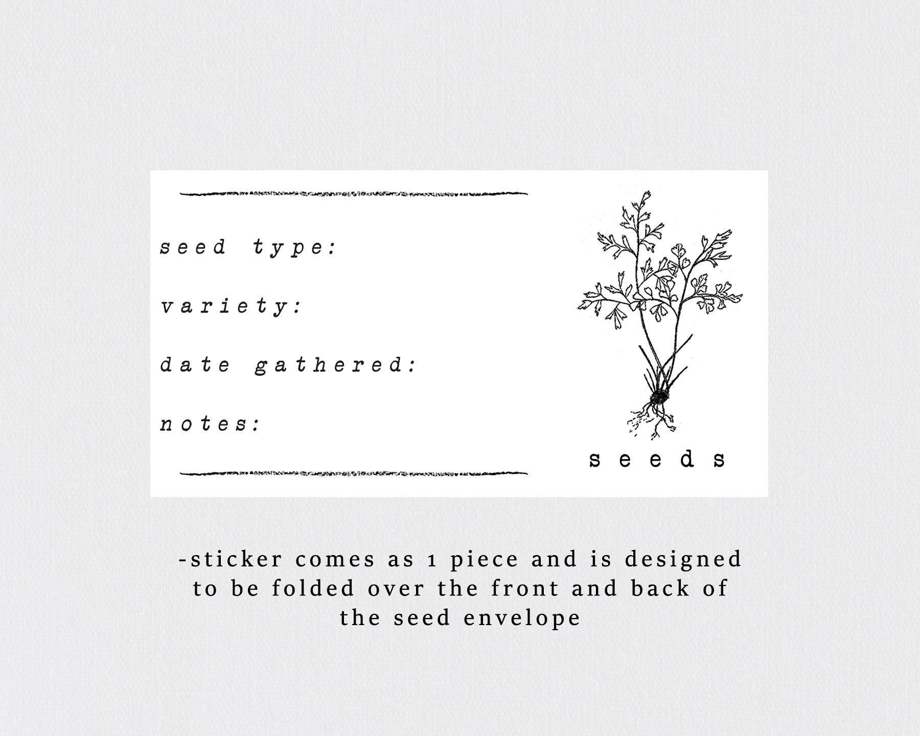 Seed Labels Labeling for Vegetable Seeds Labels for Fruit - Etsy