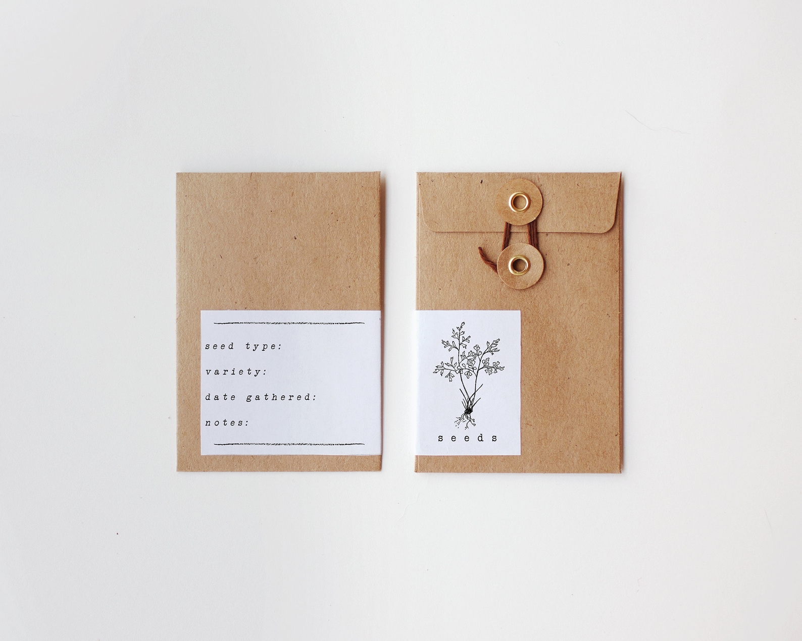 Seed Labels Labeling for Vegetable Seeds Labels for Fruit | Etsy