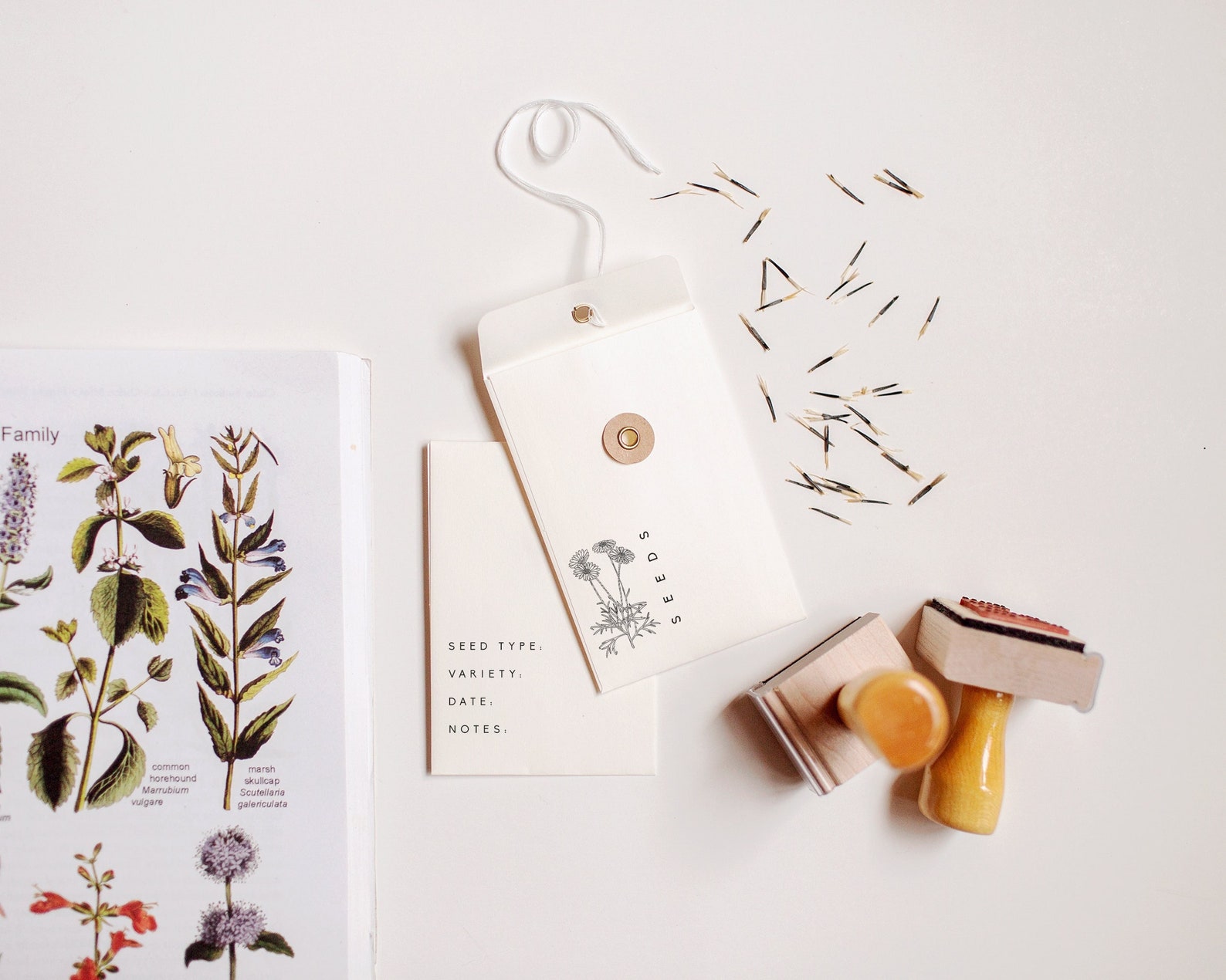 Seed Labels Flower Seed Labeling Stamp Set for Seed - Etsy