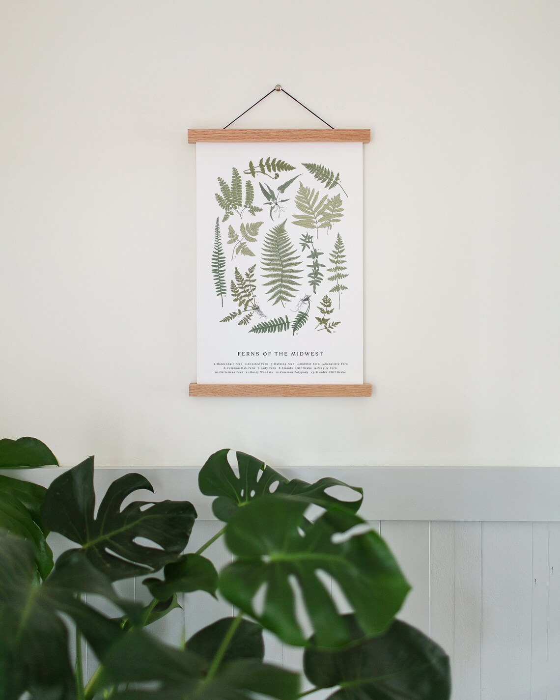Ferns of the Midwest Woodland Ferns Fern Wall Art Pretty - Etsy