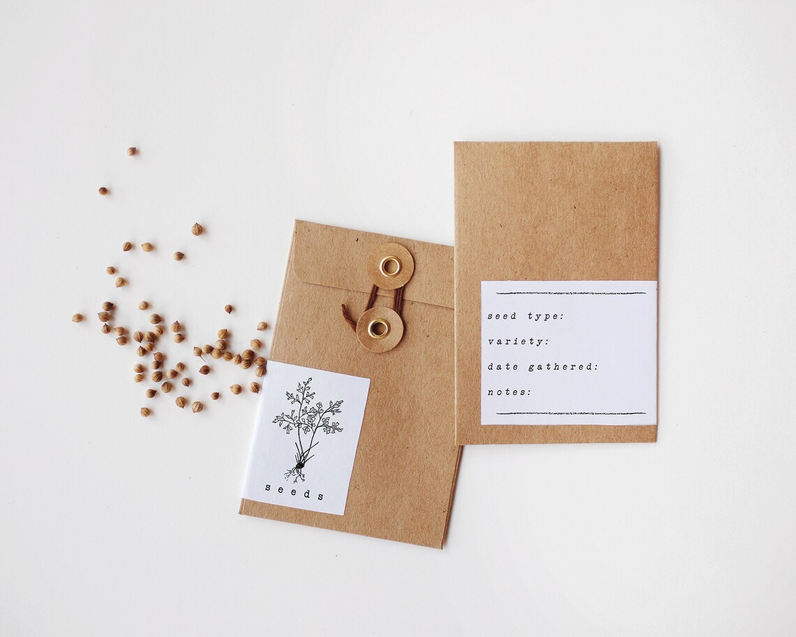 Seed Labels Labeling for Vegetable Seeds Labels for Fruit | Etsy