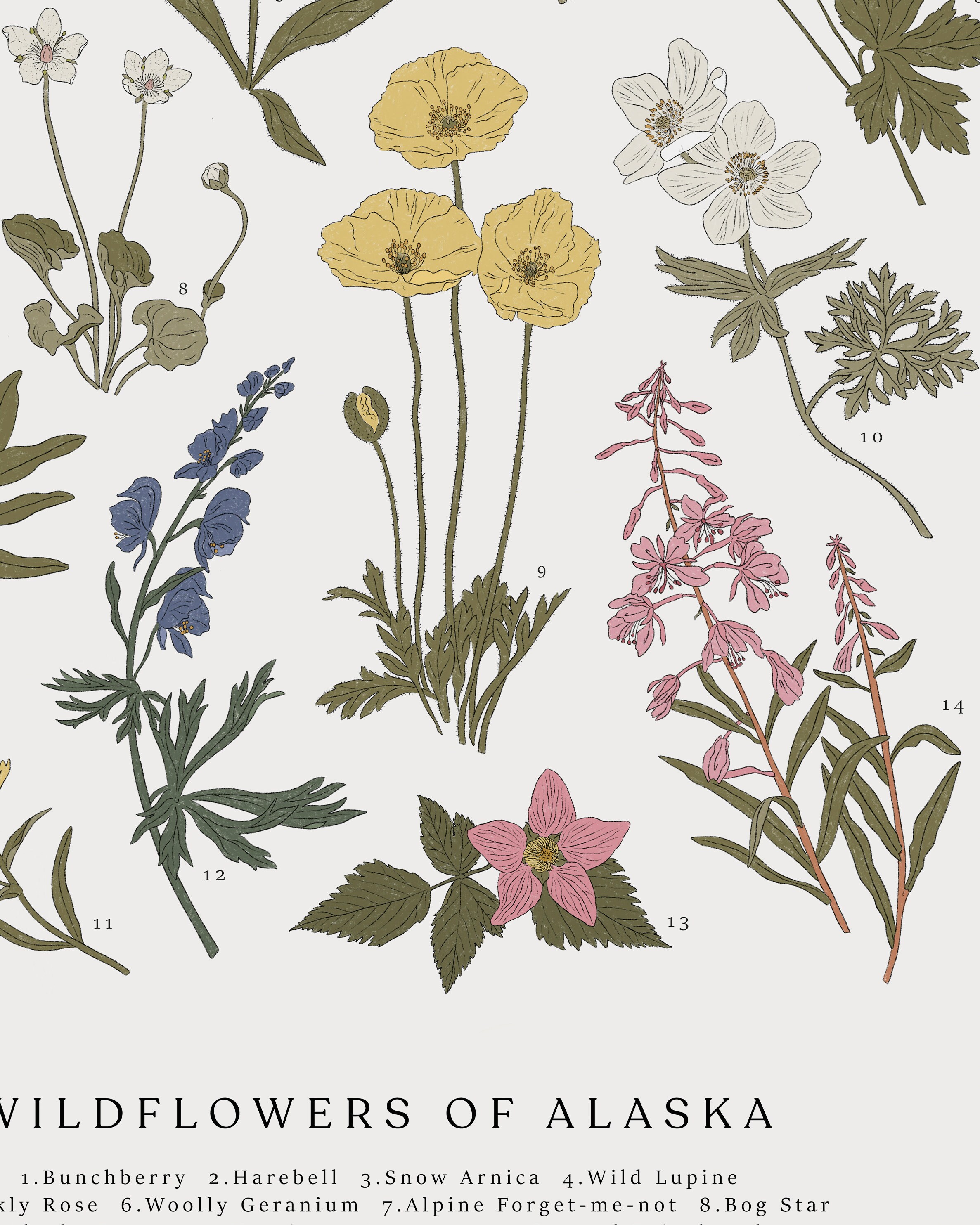 Wildflowers of Alaska Vintage Flower Print Alaskan Art - Etsy