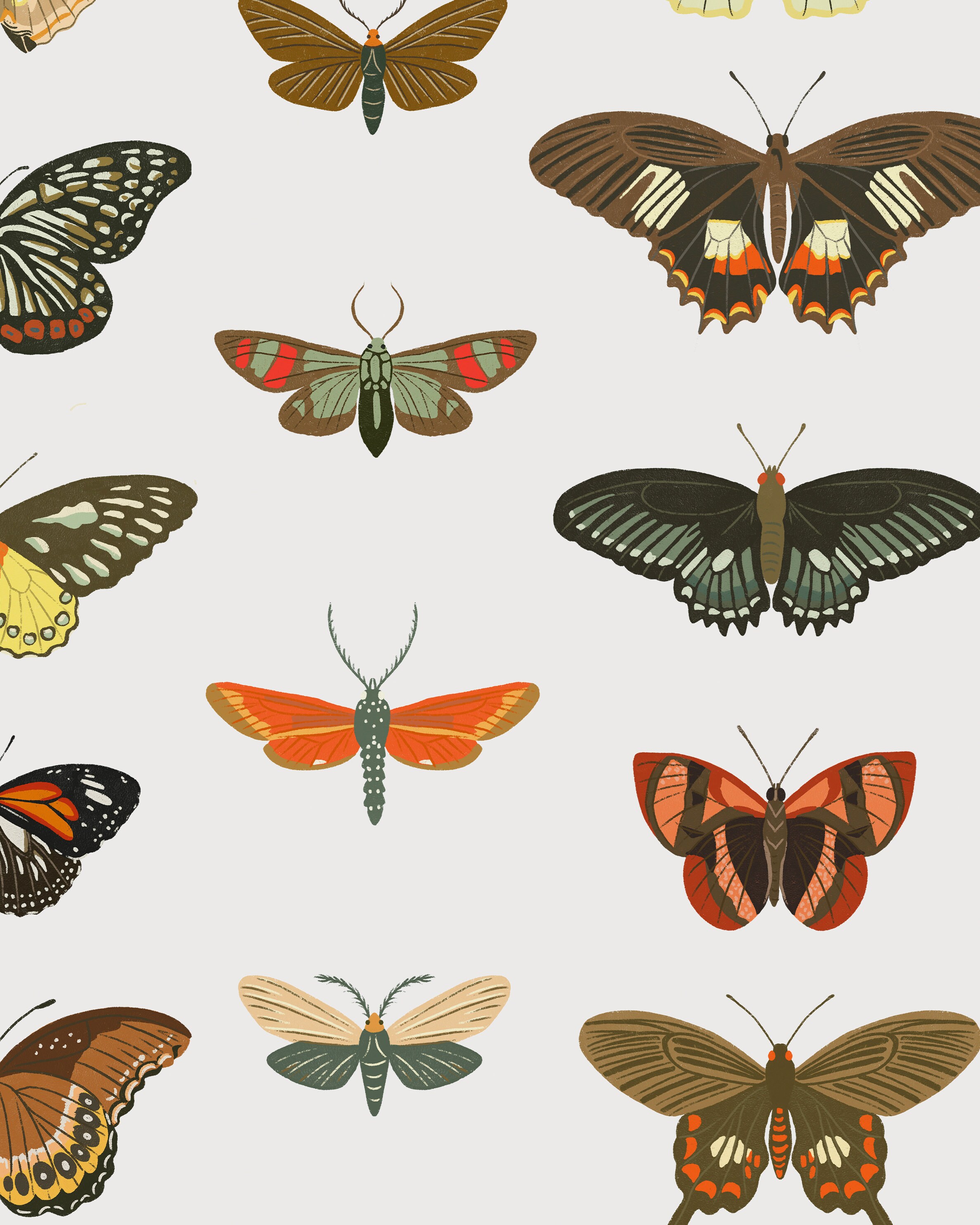 Butterfly Poster Colorful Butterflies Art Butterfly Science - Etsy