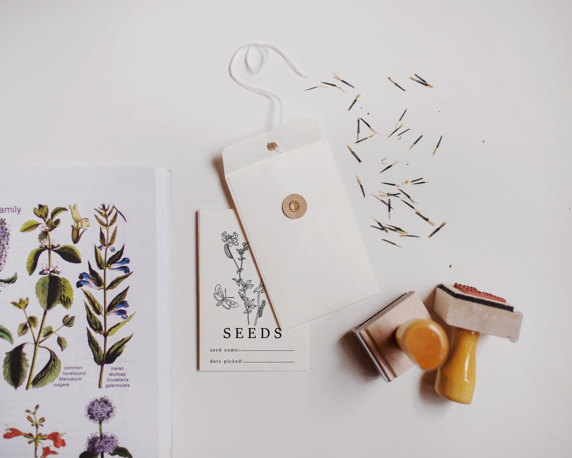 Seed Packet Stamp Seed Labeling Stamp Fill in the Blank | Etsy