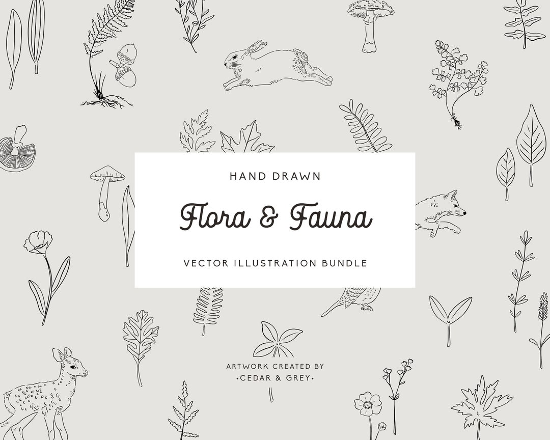 Woodland Clip Art, Ferns and Mushrooms, Fox, Rabbit, Owl, Fawn ...