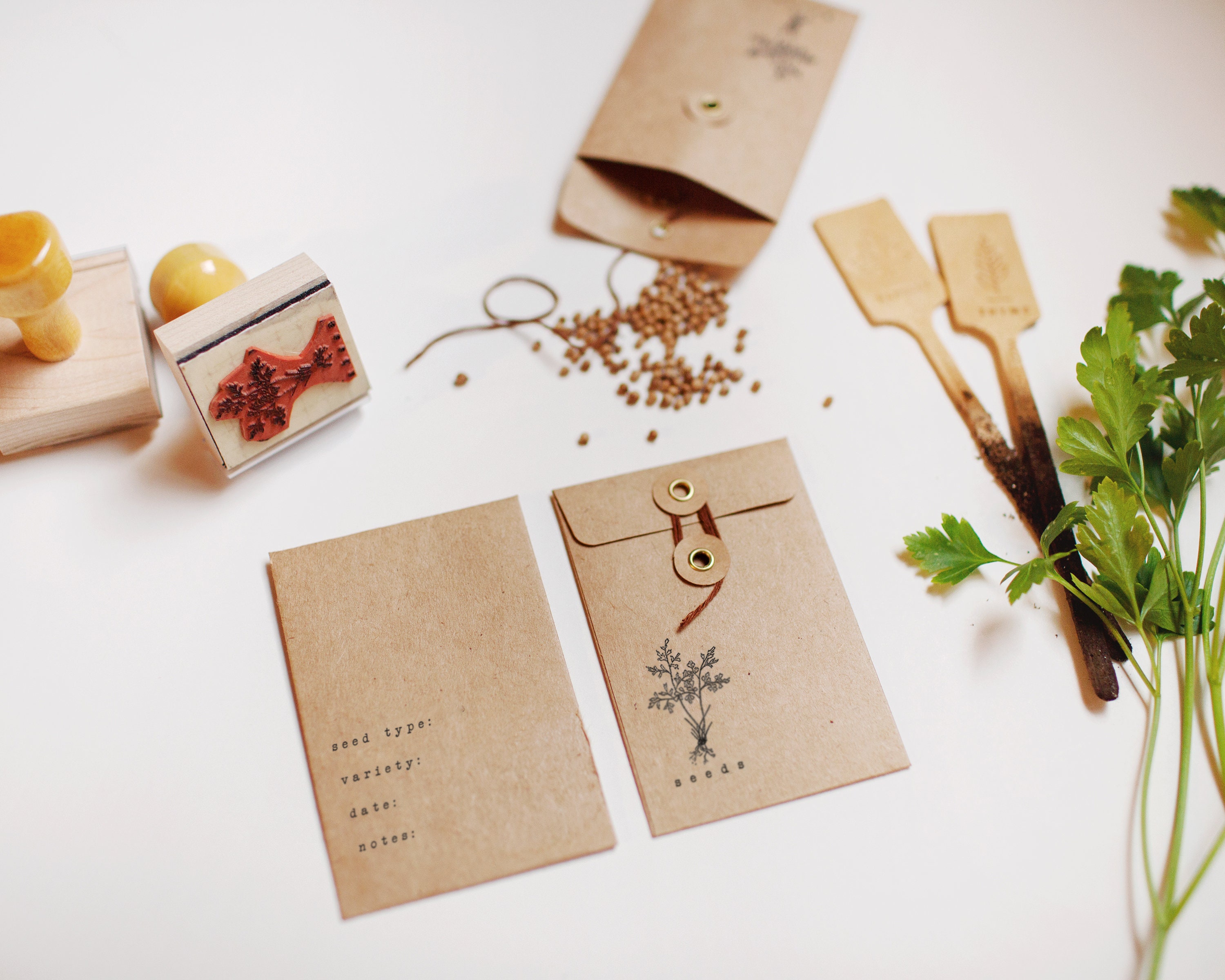 Seed Labels Veggie Seed Labeling Stamp Set for Seed - Etsy