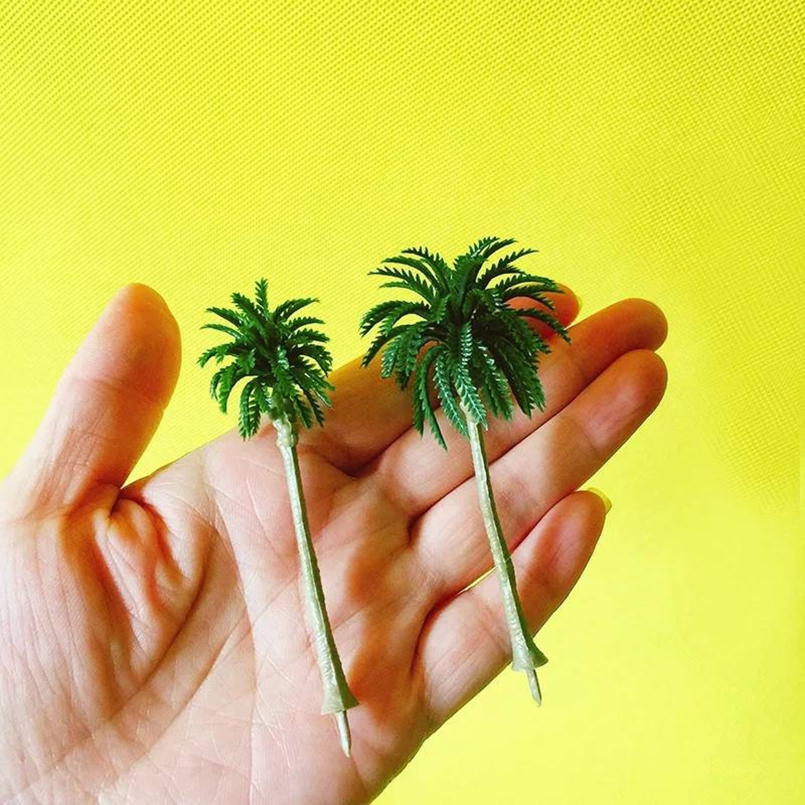 Miniature PALM Tree 3pc Landscape Fairy Garden small plants | Etsy