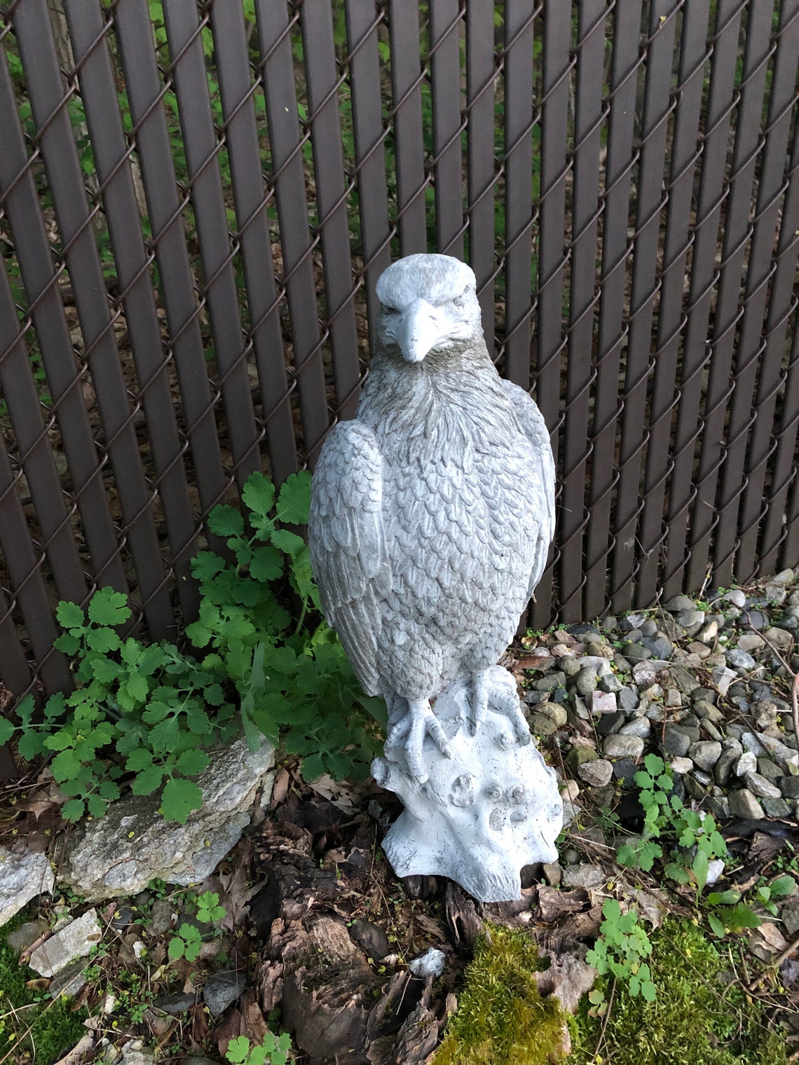 Concrete American Bald Eagle Statue 21 tall Bald Eagle | Etsy