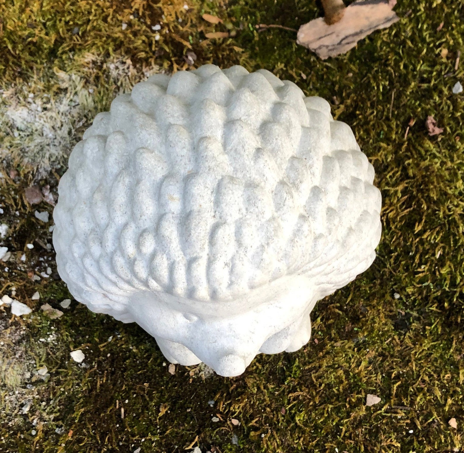 Cement Hedge Hod Statue Cute Hedge Hog Figure Concrete - Etsy