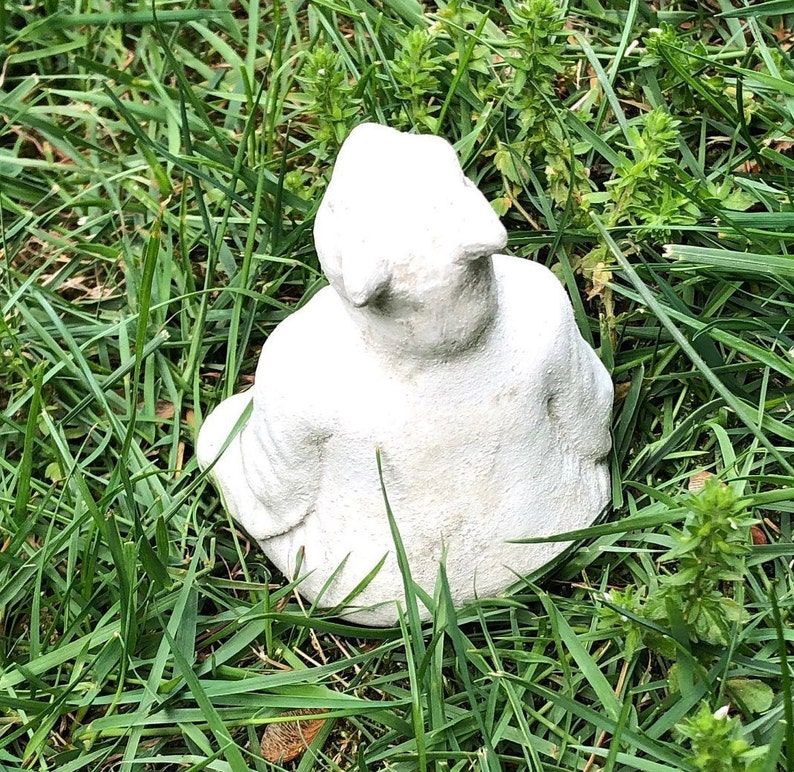 Concrete Meditating Squirrel Buddha Statue, Zen Garden Decor - Etsy