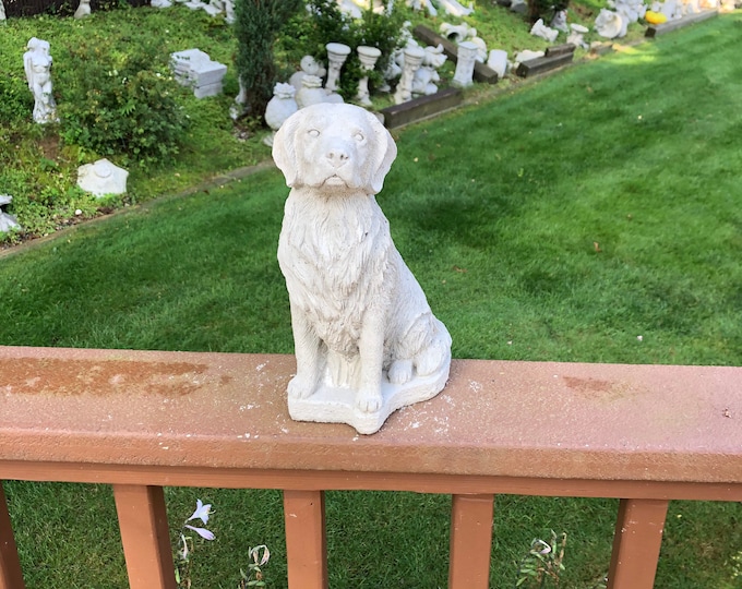 Labrador Concrete Statue, Dog Statue, Memorial or Grave Marker, Garden ...