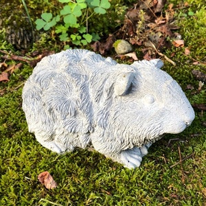 Concrete Guinea Pig Statue, Cute Cement Guinea Pig Garden Figure ...