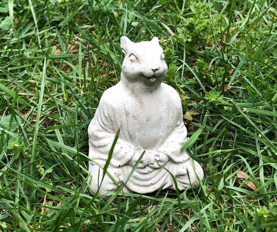 Concrete Meditating Squirrel Buddha Statue, Zen Garden Decor - Etsy