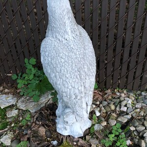 Concrete American Bald Eagle Statue 21" Tall, Bald Eagle Statue, Garden ...