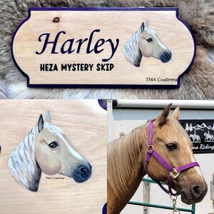 Custom Hand Painted Stall Sign / Horse Gift / Painted Stall - Etsy