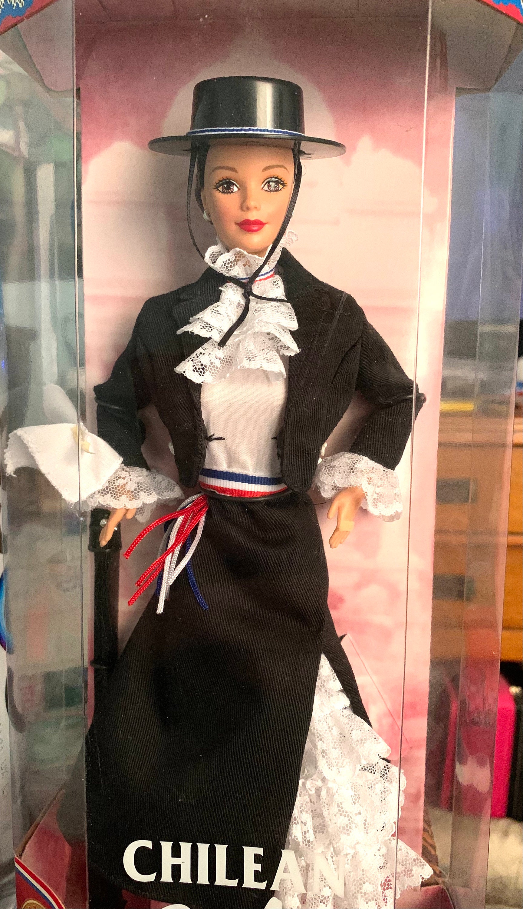 Dolls of the World Chilean Barbie - Etsy