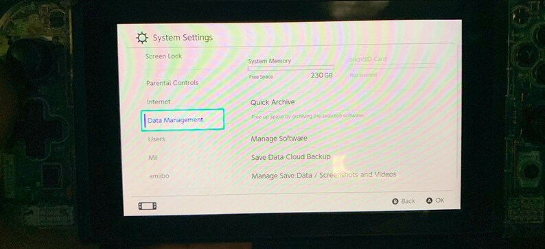 Pre ordena Nintendo Switch EMMC UPGRADE Nand 256GB 128GB | Etsy