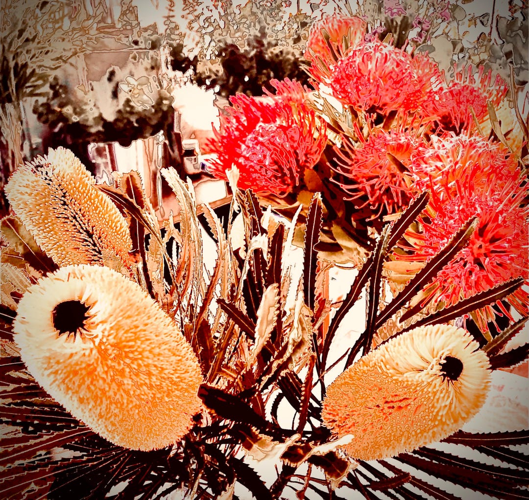 Native Flowers - Etsy