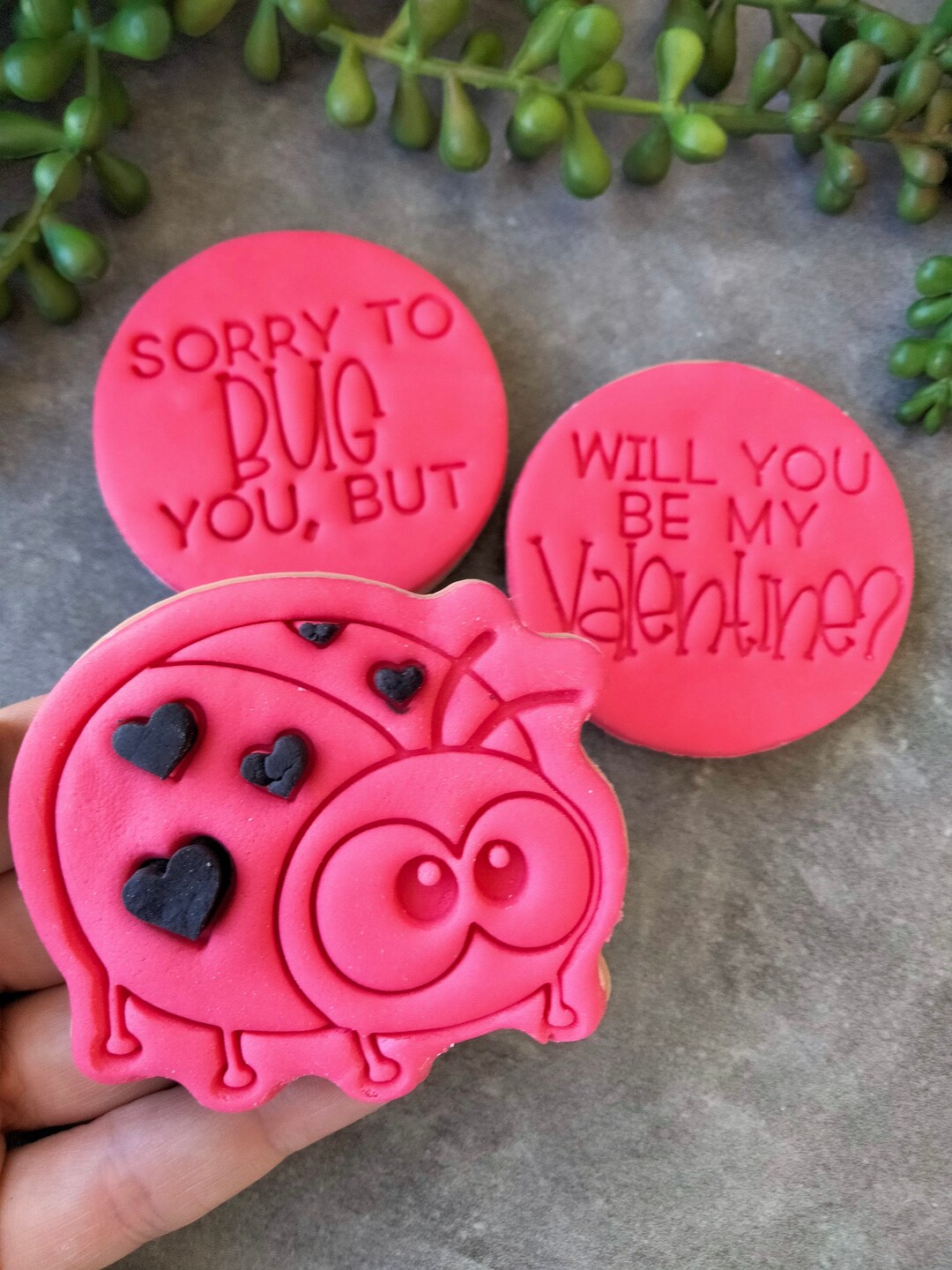 Sorry to Bug You, but Will You Be My Valentine? With Ladybug Cookie ...