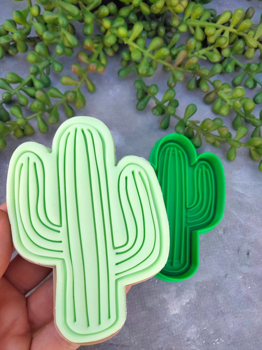 Cactus Cookie Cutter / Fondant Embosser Stamp - Etsy
