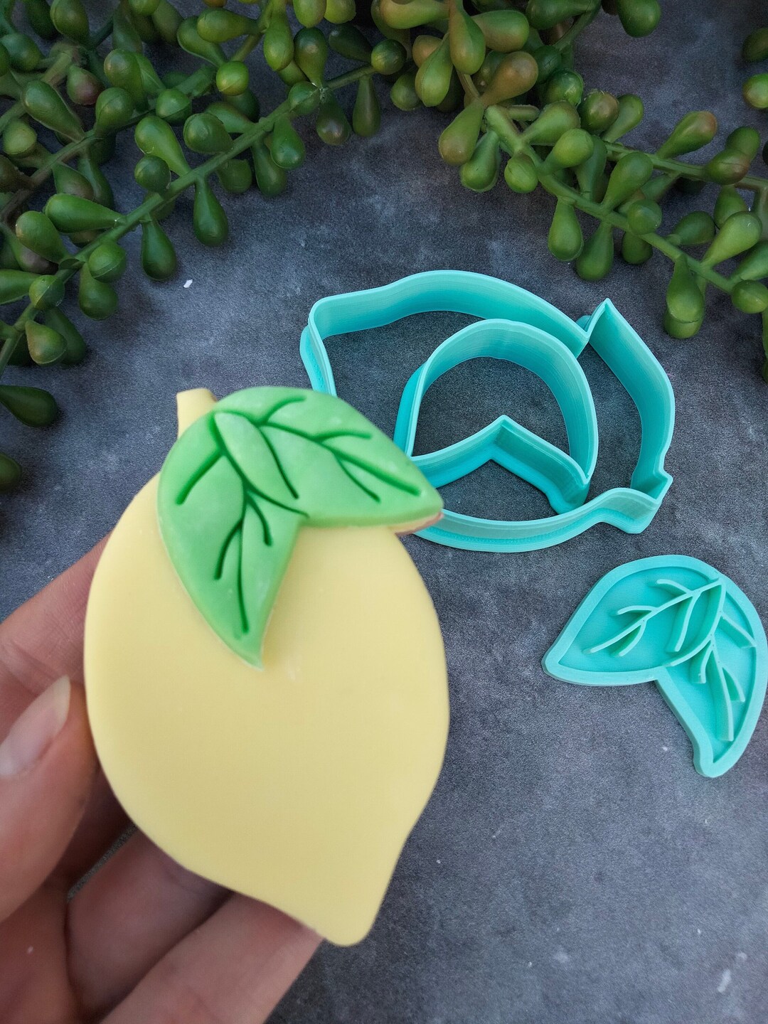 Lemon Cookie Cutter and Fondant Embosser Stamp Set Fruit Full Lemon ...