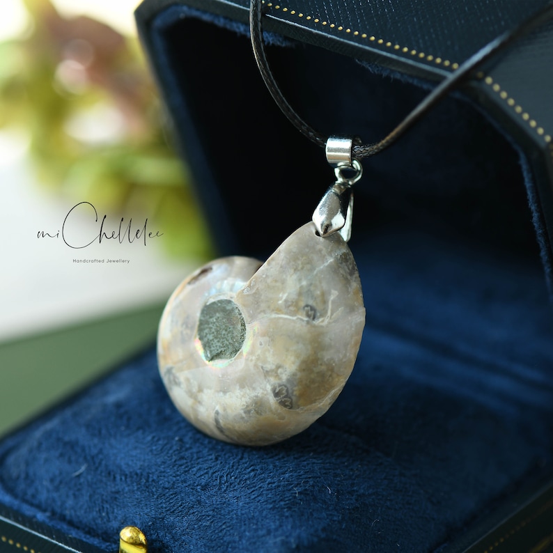 Ammonite Fossil Shell Necklace Real Ammonite Necklace Gold - Etsy