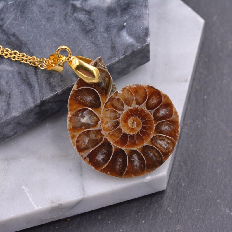 Ammonite Fossil Shell Necklace Real Ammonite Necklace Gold | Etsy UK