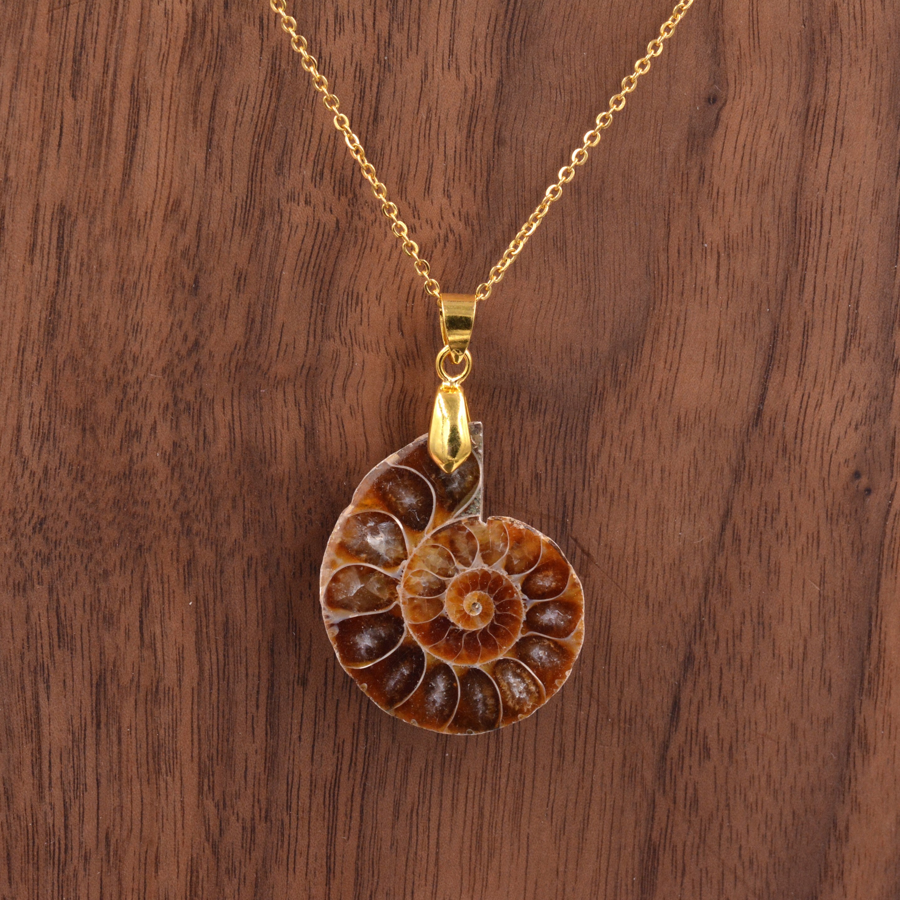 Ammonite Fossil Shell Necklace Real Ammonite Necklace Gold | Etsy