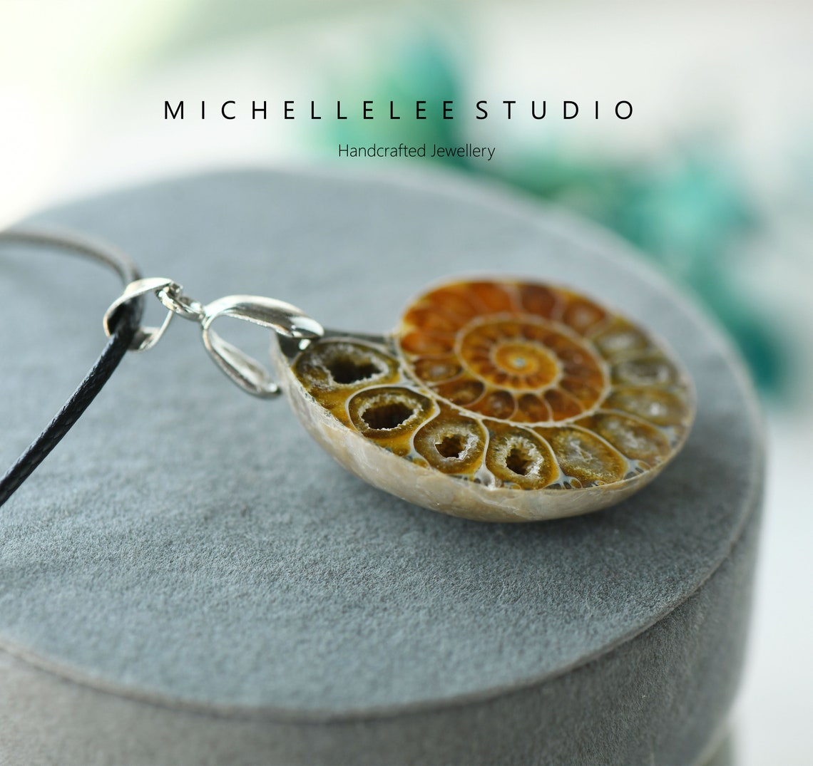 Ammonite Fossil Shell Necklace Real Ammonite Necklace Gold - Etsy