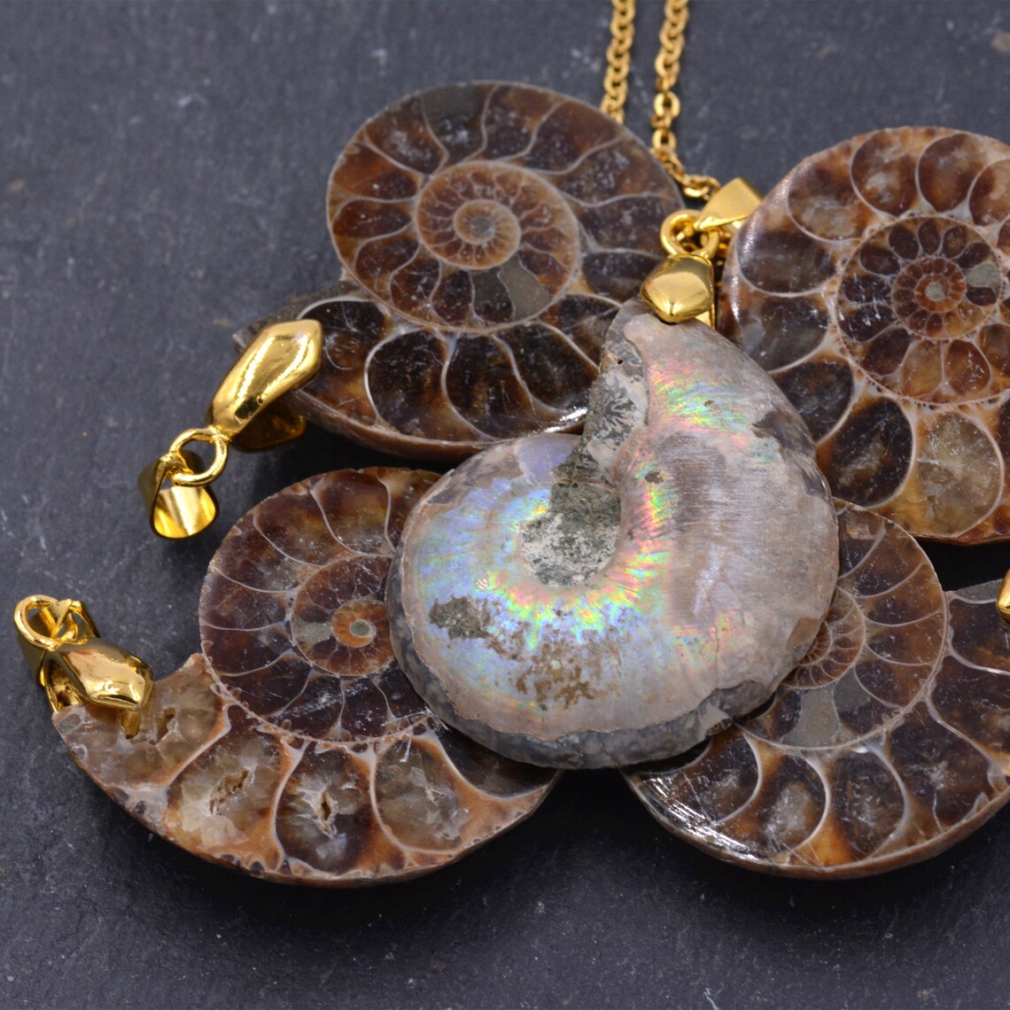 Ammonite Fossil Shell Necklace Real Ammonite Necklace Gold | Etsy
