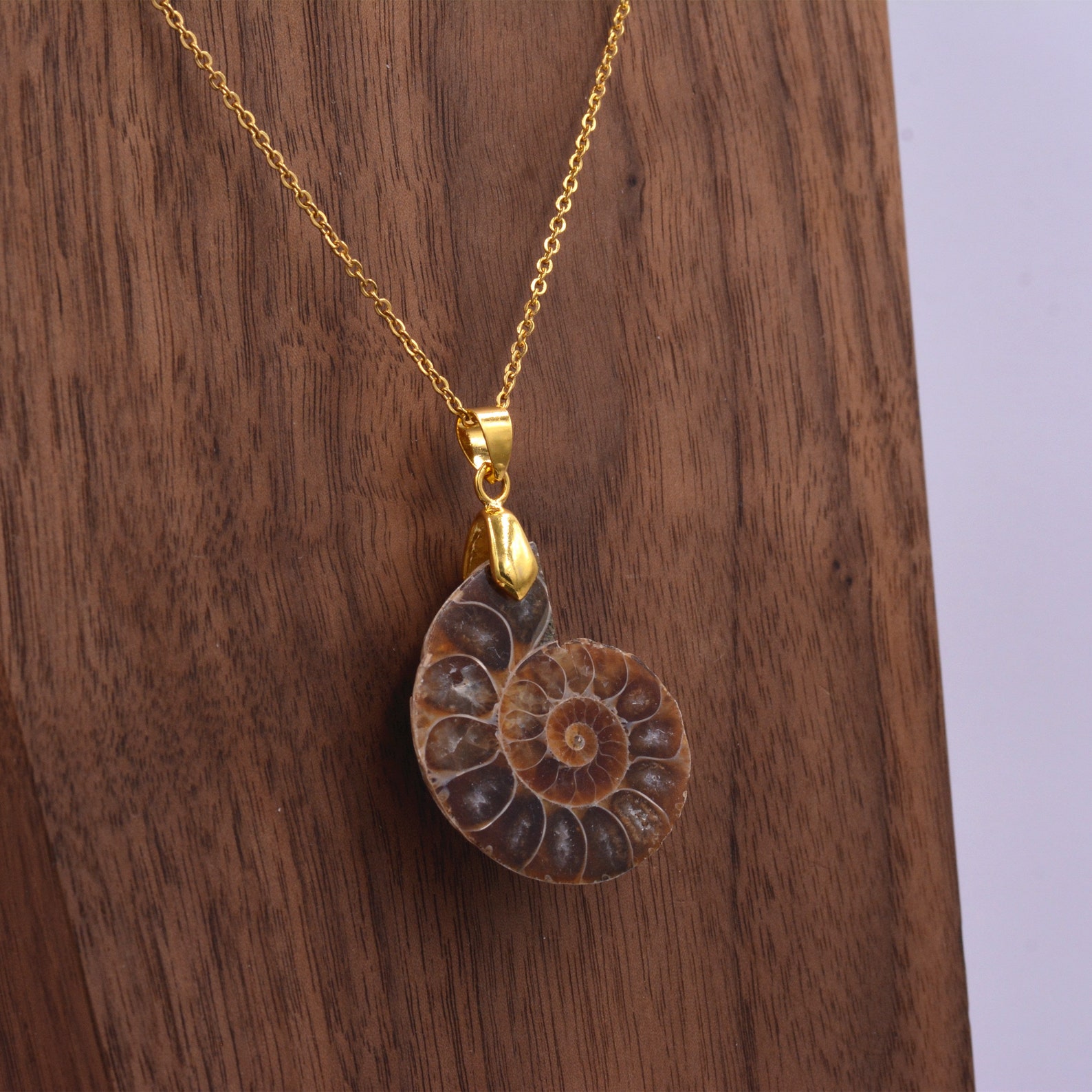 Ammonite Fossil Shell Necklace Real Ammonite Necklace Gold | Etsy