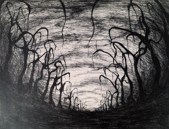 Dark Forest Drawing