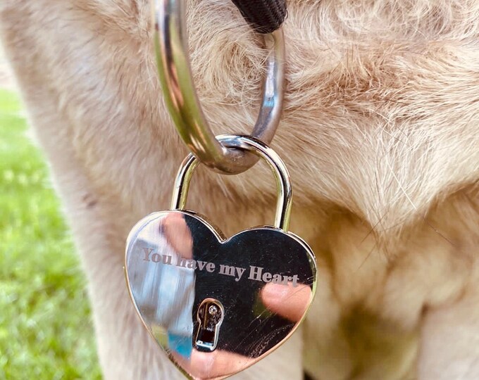 Rose Gold Dog Tag, Personalized Dog Name Tag, Cute Simple Dog Name Tag ...