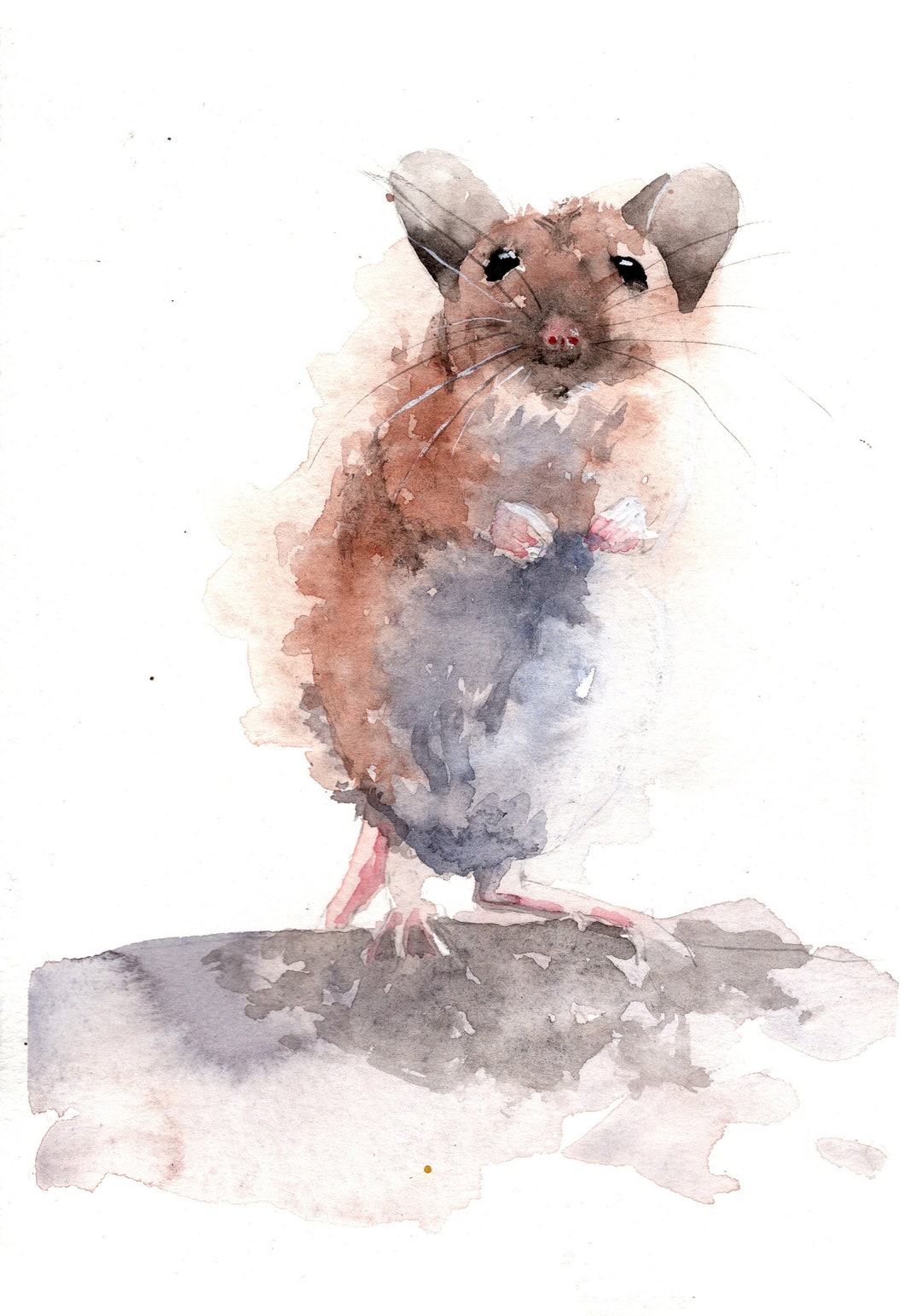Field Mouse Numbered Limited Edition Giclee Print of a Watercolour ...