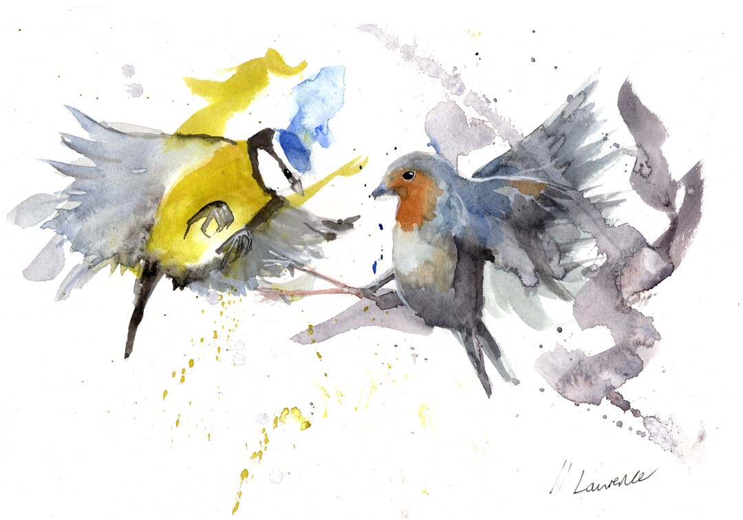 Bird Fight Robin and Blue Tit Numbered Limited Edition Giclee Print of ...