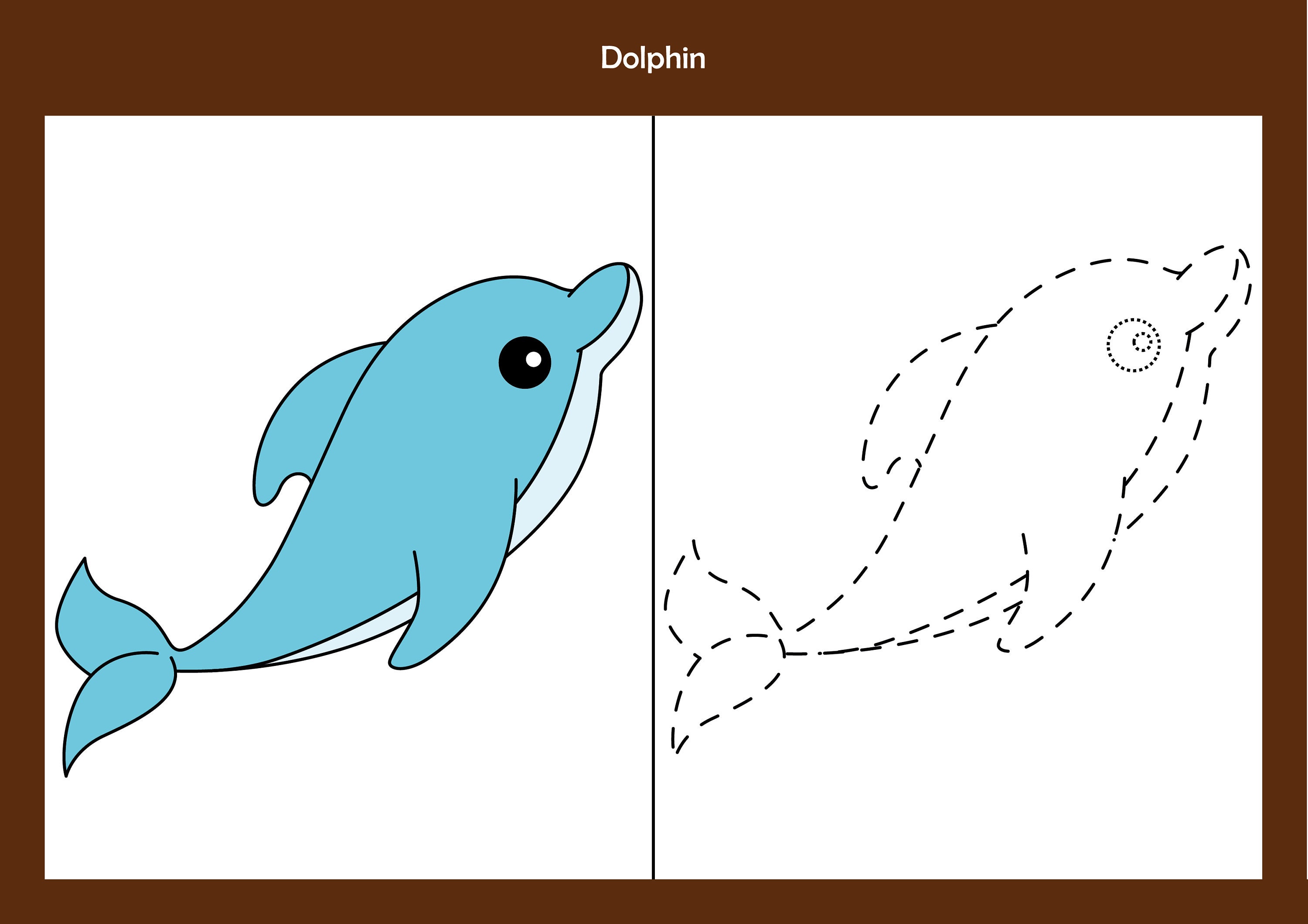 How To Draw A Dolphin For Kids