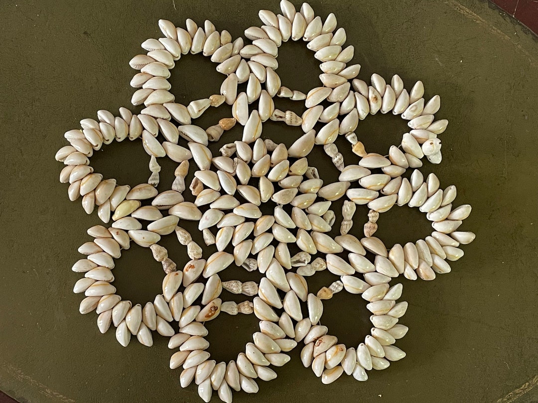 Real Shell Trivet - Great for Placing Hot Pans on the Table and ...