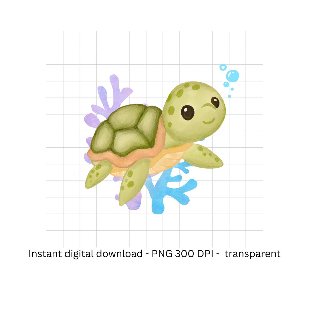 Baby Tortoise Clipart, PNG, Sublimation, Digital Download, Baby Animal ...
