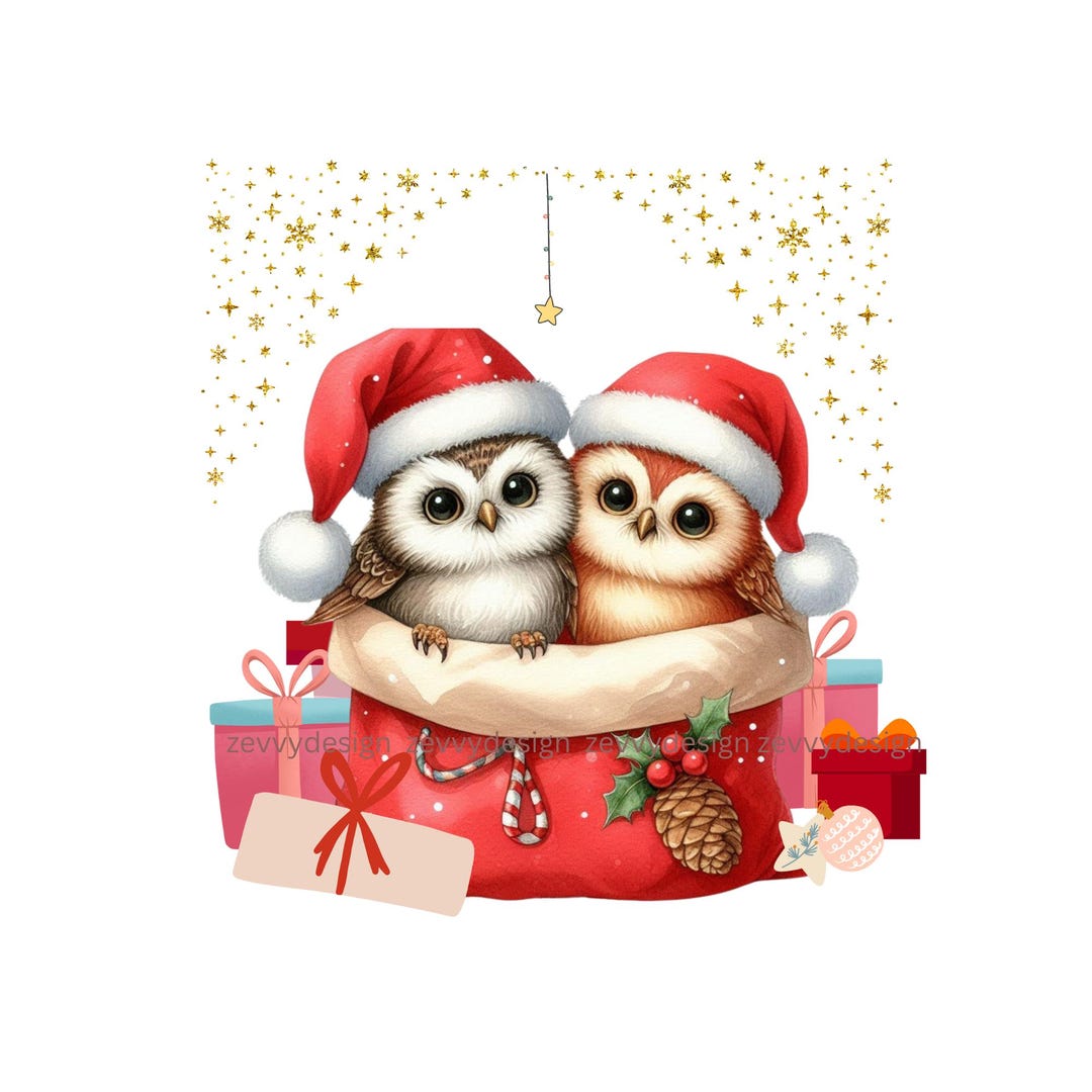 Cute Owls Christmas Clipart, PNG, Transparent, Digital Download ...