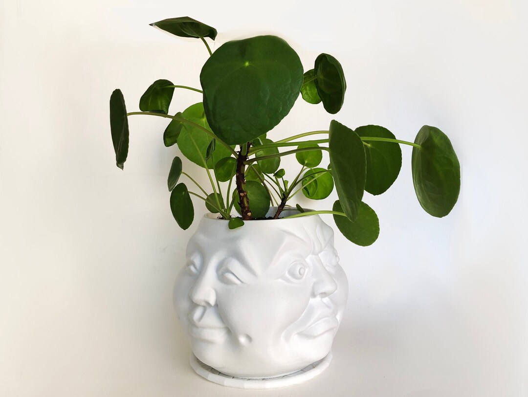 3D Printed Four Faces Buddha Planter: Yoga Meditation Decor - Etsy