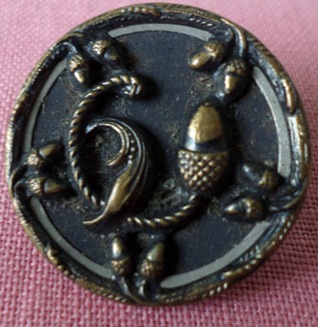 Antique Metal Button With Brass Coloured Acorn Detail Has Japanned Base ...