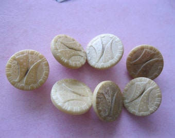 Tagua Nut Buttons | Etsy