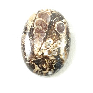 TURTELLA JASPER GEMSTONE 43.75 Ct Top Quality Turtella Jasper Smooth ...