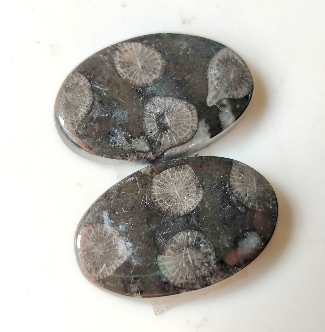 NATURAL BLACK FOSSIL Gemstone 34CT High Quality Fossil | Etsy