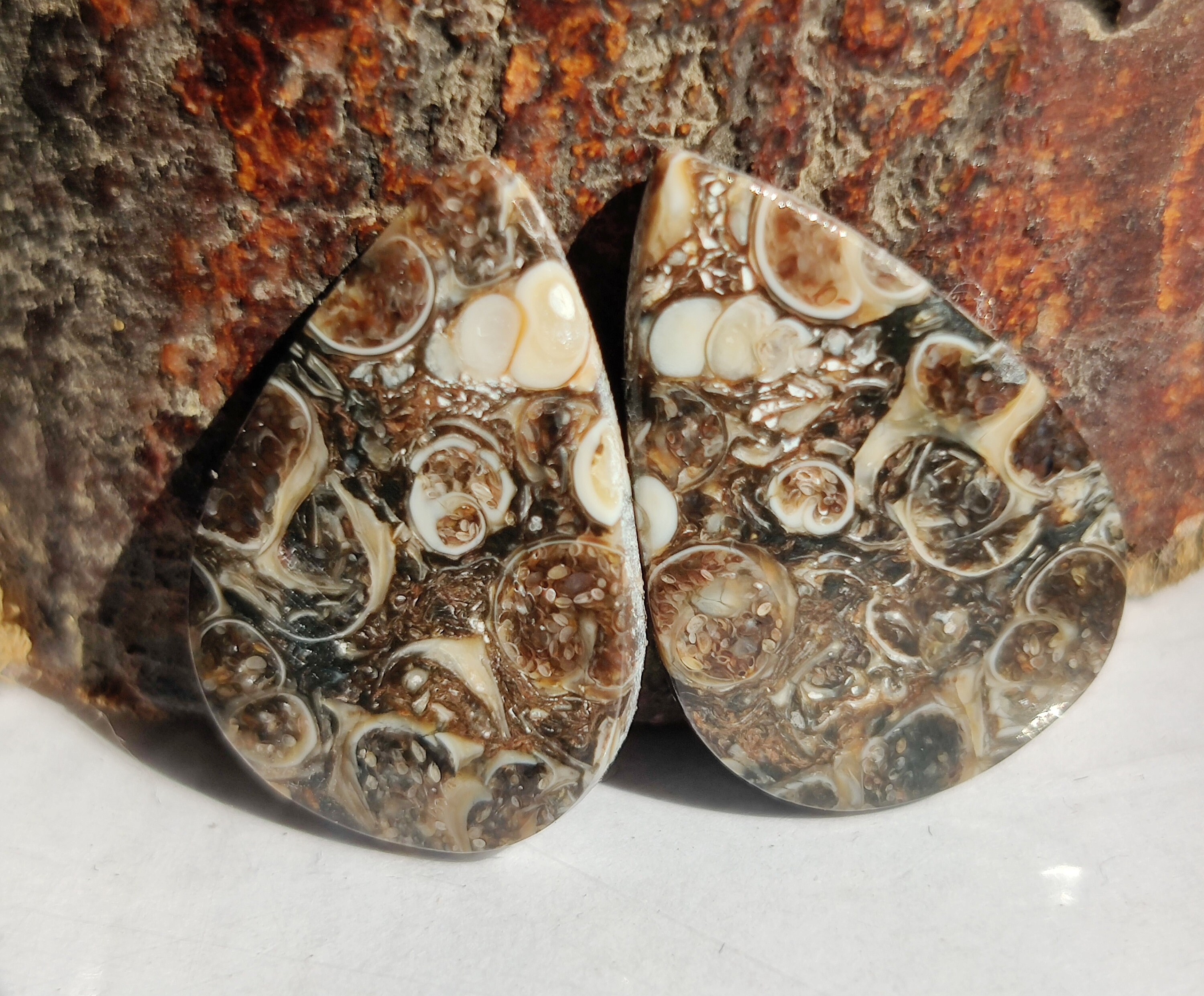 TURTELLA JASPER GEMSTONE 9CT Good Quality Natural Turtella | Etsy